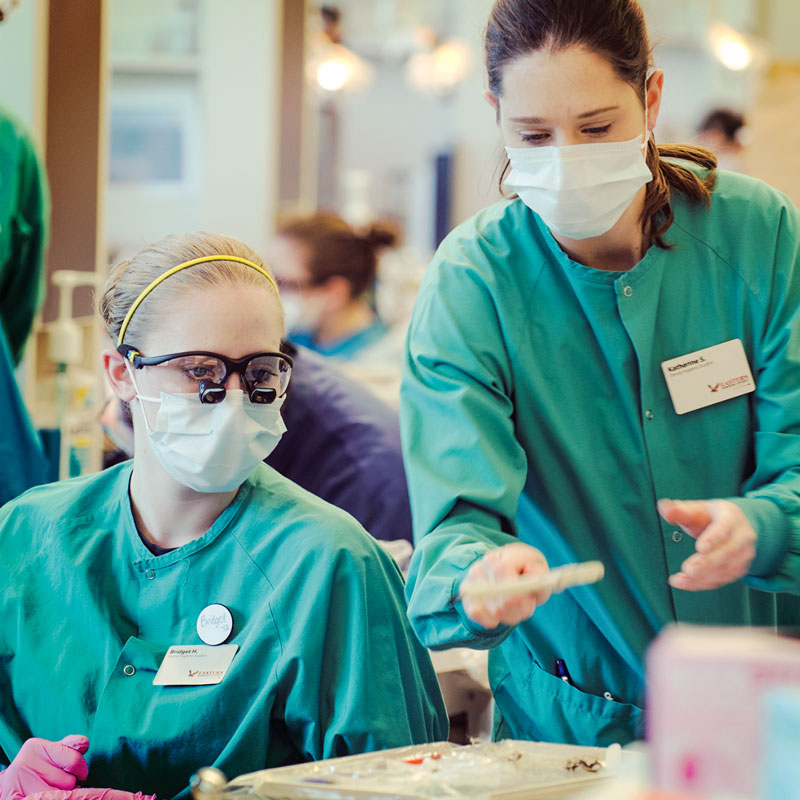 Occupational Therapy (OT) - Occupational Therapy - College of Health ...